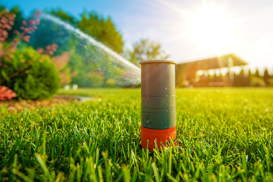 Commercial Landscaping Services in Florida - Equator Landscaping