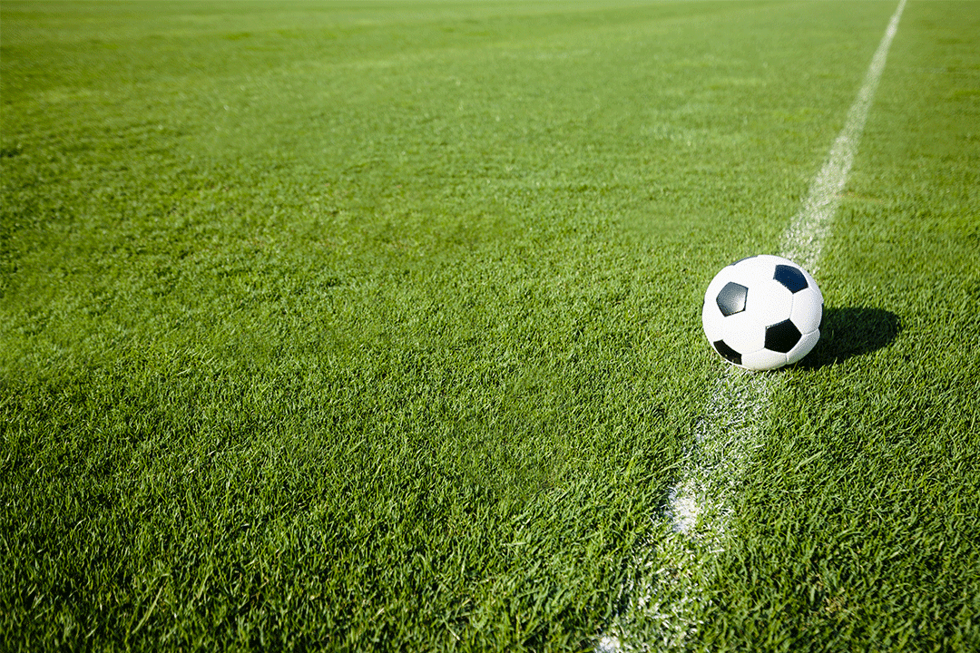 Commercial Landscaping Services in Florida - Equator Landscaping